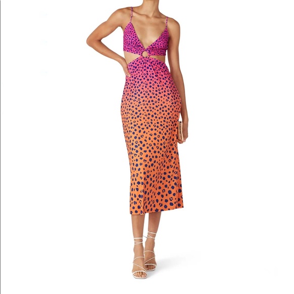 AFRM | Dresses | Nwt Rogue Leopard Ombre Cutout Maxi Dress | Poshmark